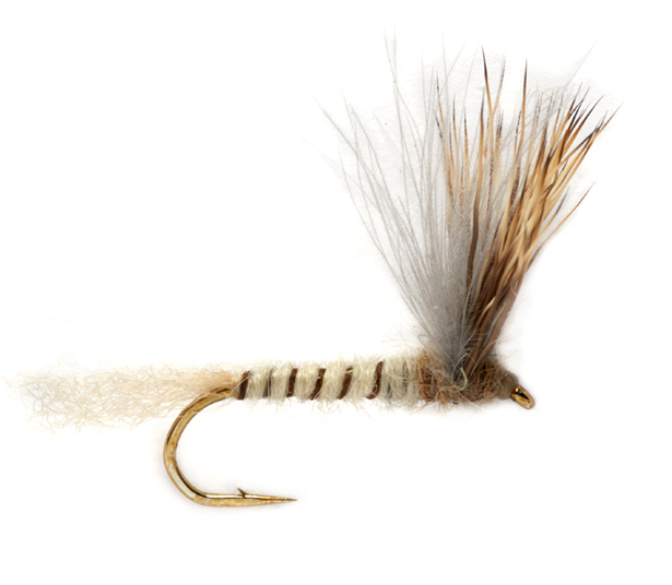 Fulling Mill Trockenfliege - Procter's Stuck Shuck Compara Mayfly ...