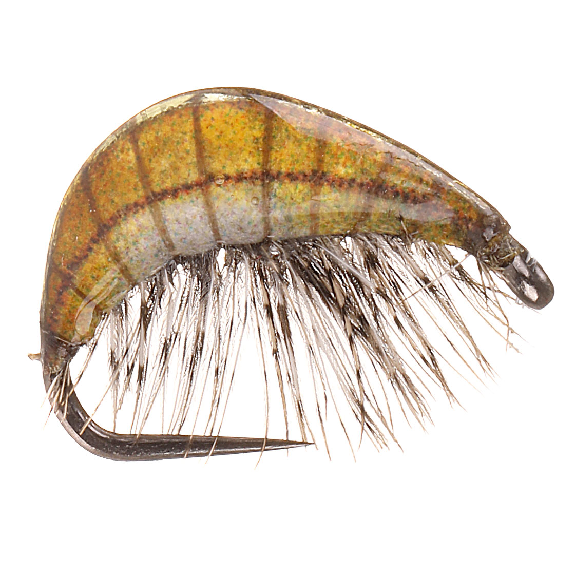 Perfect Gammarus Scud Barbless olive | Klassische Nymphen ...