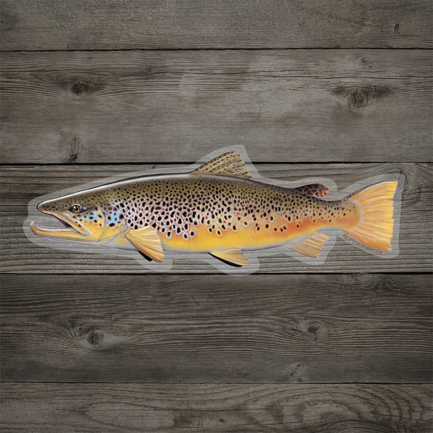 RepYourWater Sticker Rising Brown | P-31231