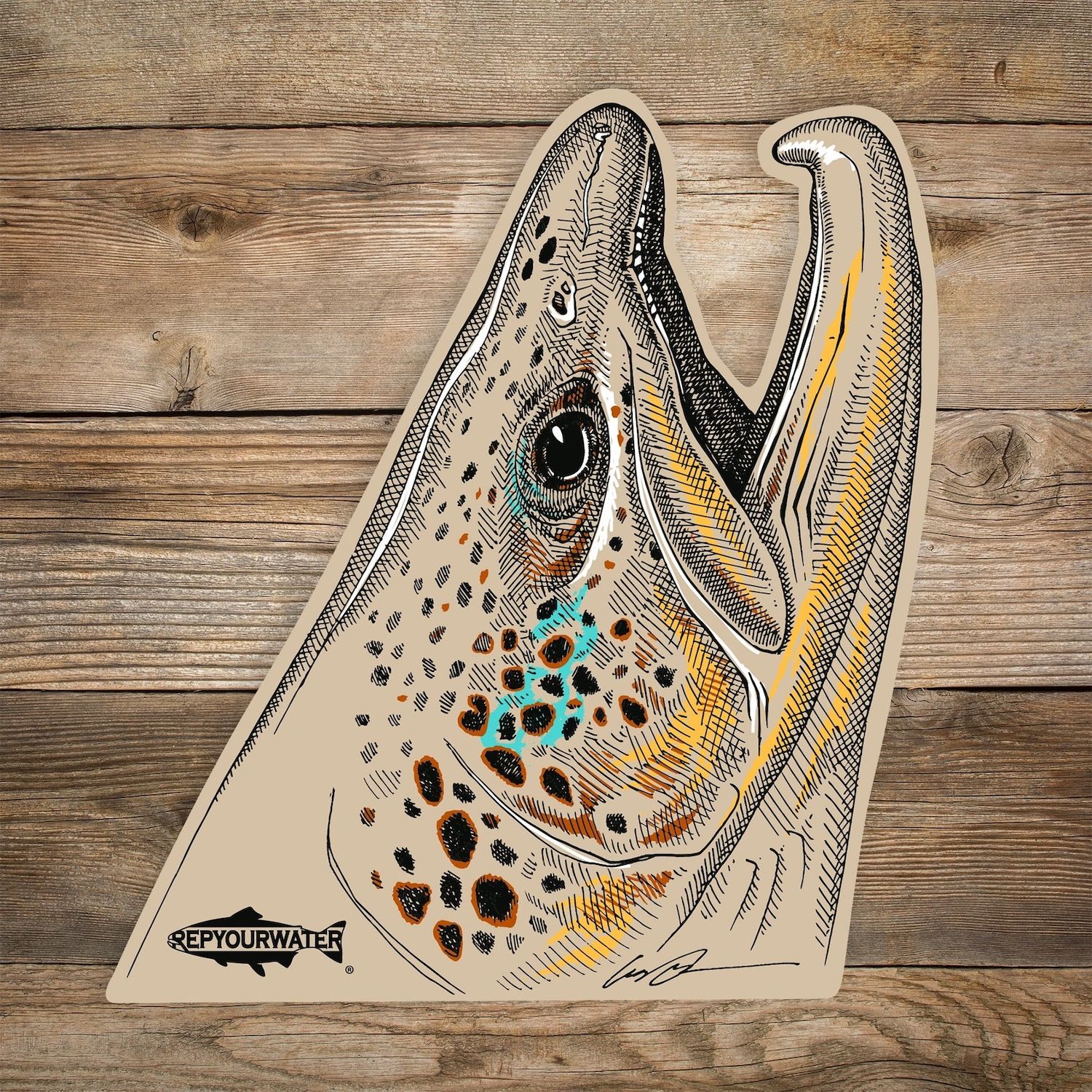 RepYourWater Sticker Brown Trout | P-31228