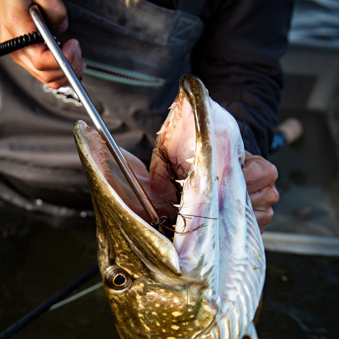 Savage Gear Lösezange Pistolengriff 22,5 cm | P-19293